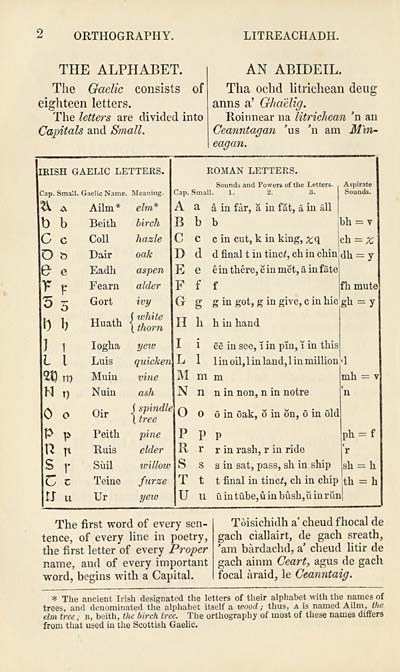 (28) - Blair Collection > Principles of Gaelic grammar - Early Gaelic ...