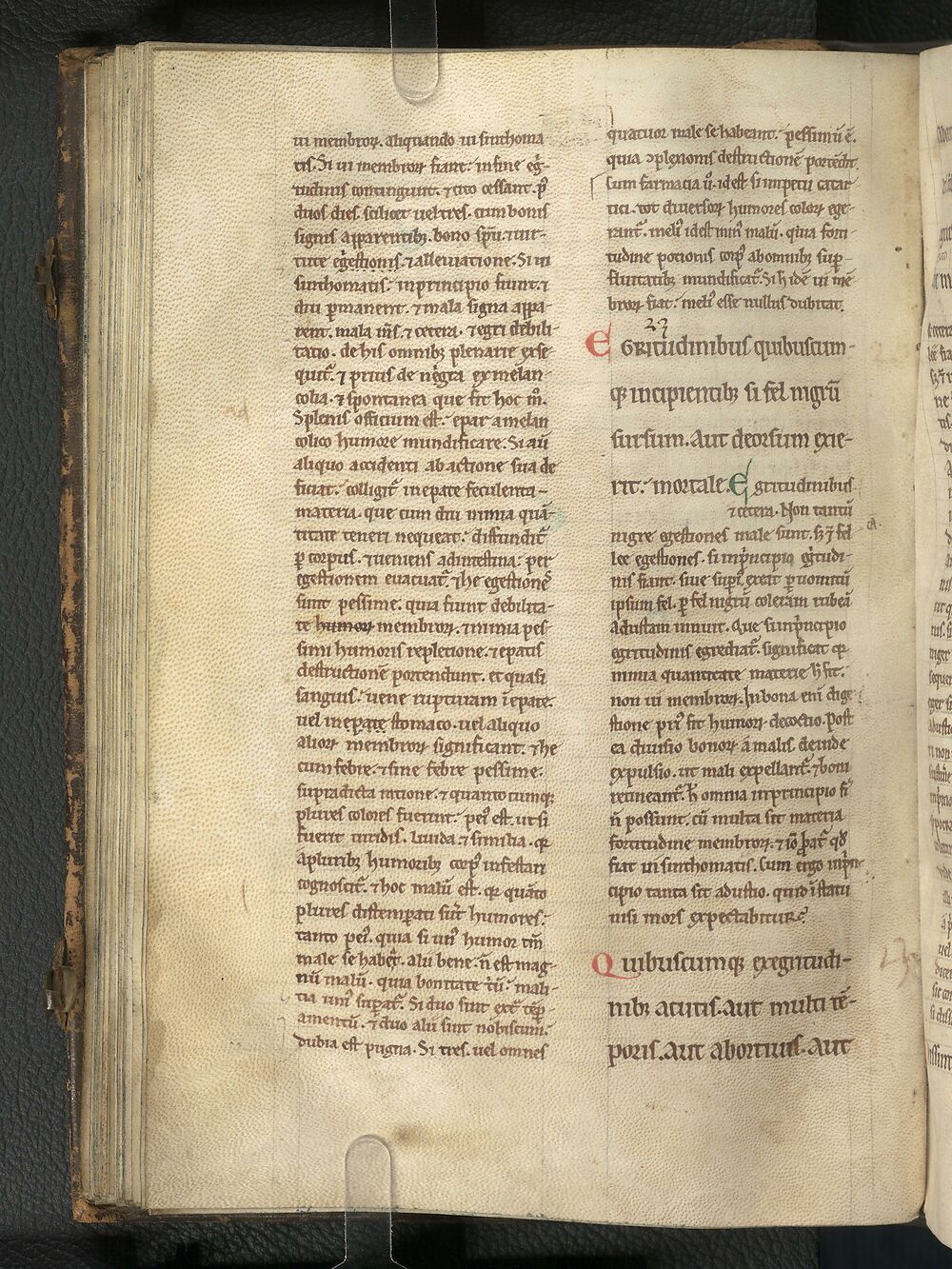 (182) - Manuscripts of undetermined origin > Commentary on 'Isagoge' on ...