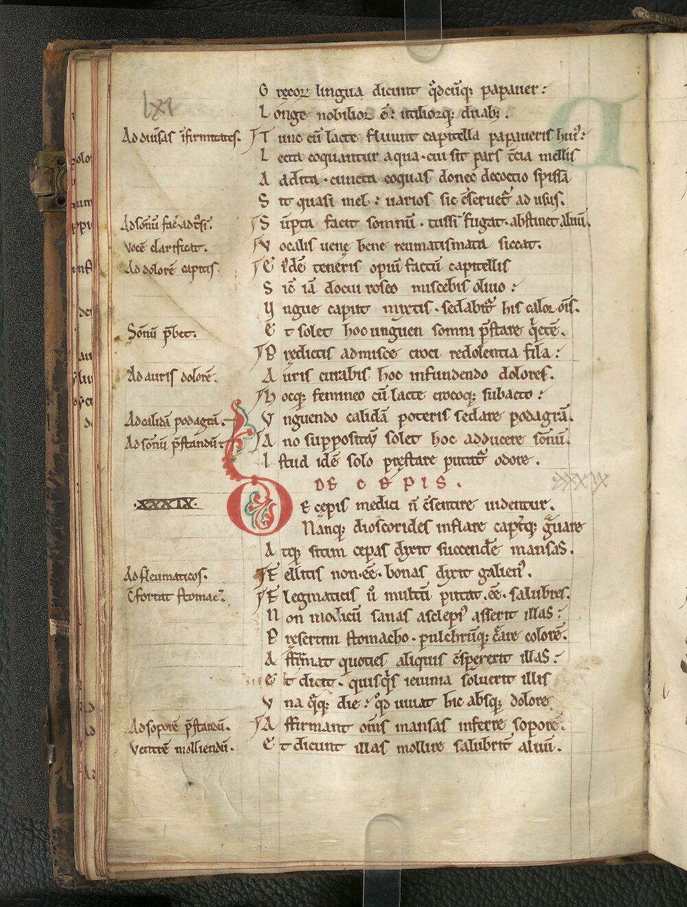 (54) - Manuscripts from England > Volume containing two 12th-century ...