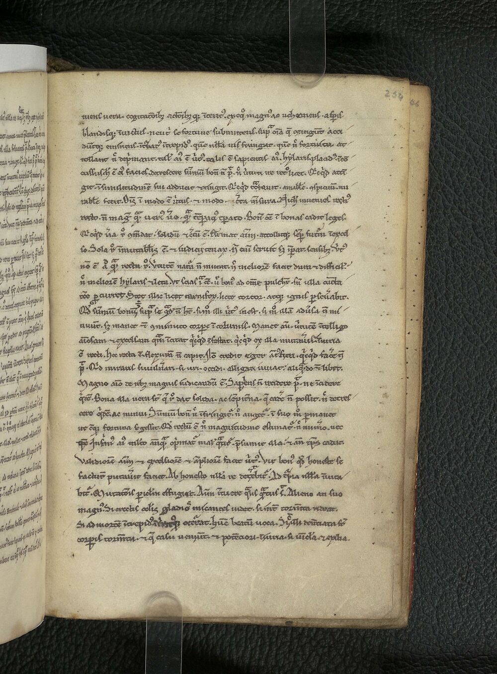 (517) - Manuscripts from England > 13th-century manuscript containing ...