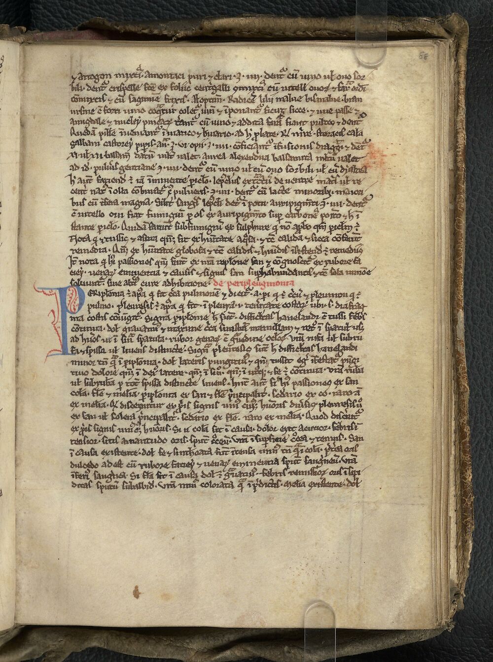 (179) - Manuscripts from England > Five 13th-century medical ...
