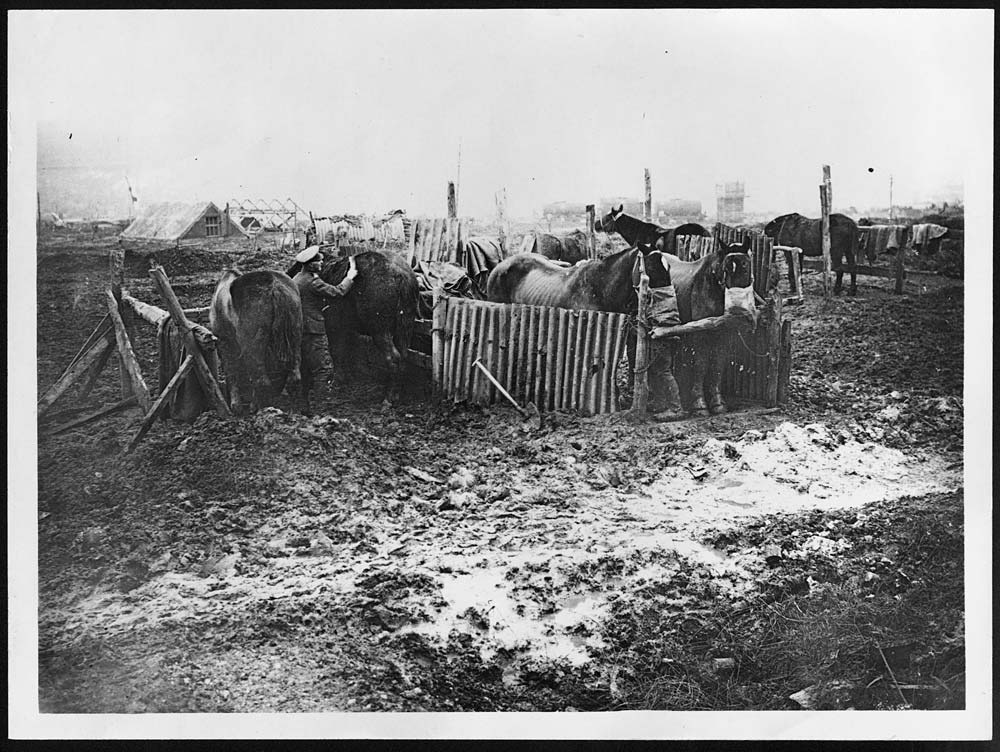 (41) D.651 - Active service stable - Cavalry - First World War ...