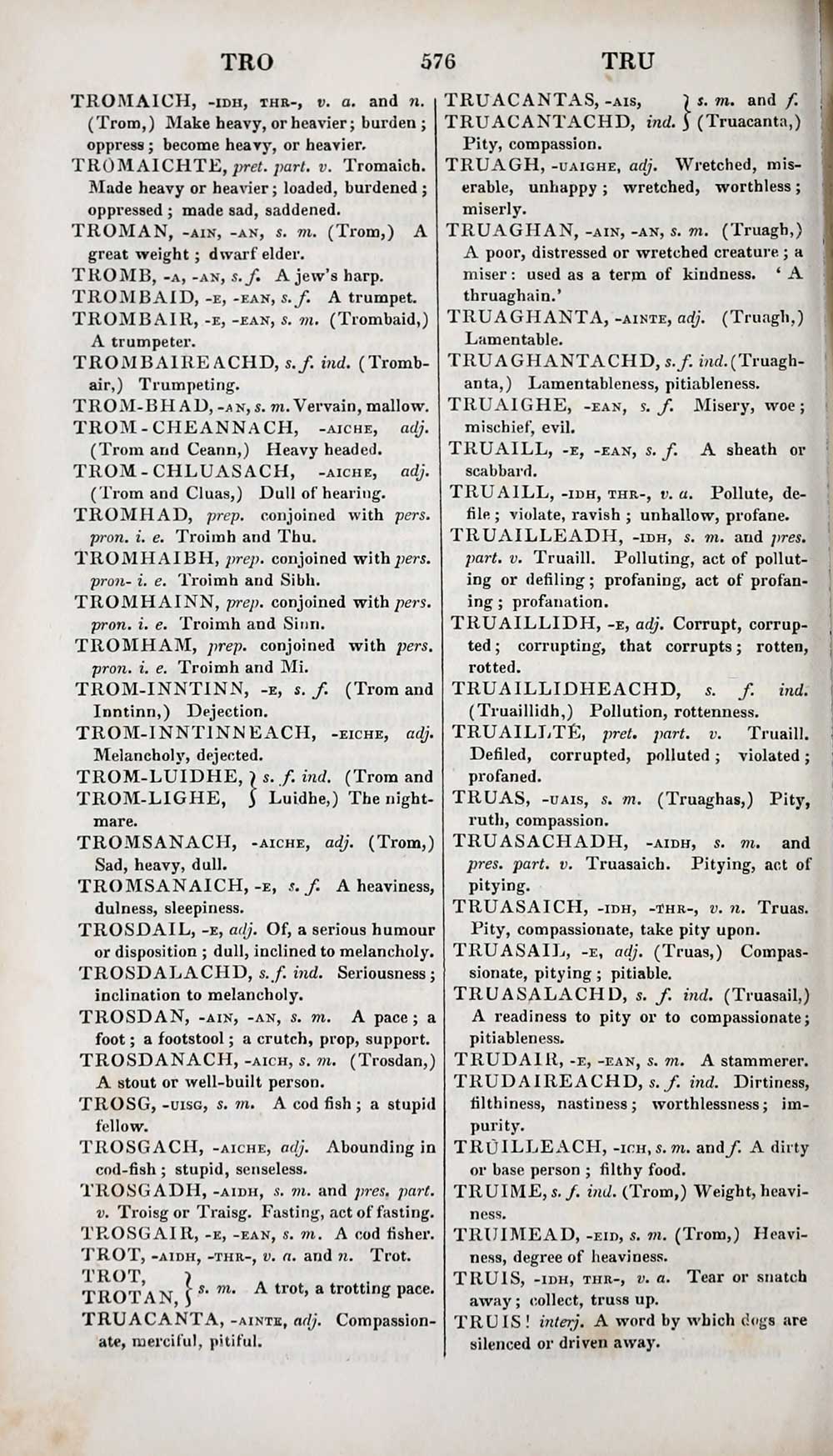 (590) - Hew Morrison Collection > Dictionary of the Gaelic language, in ...